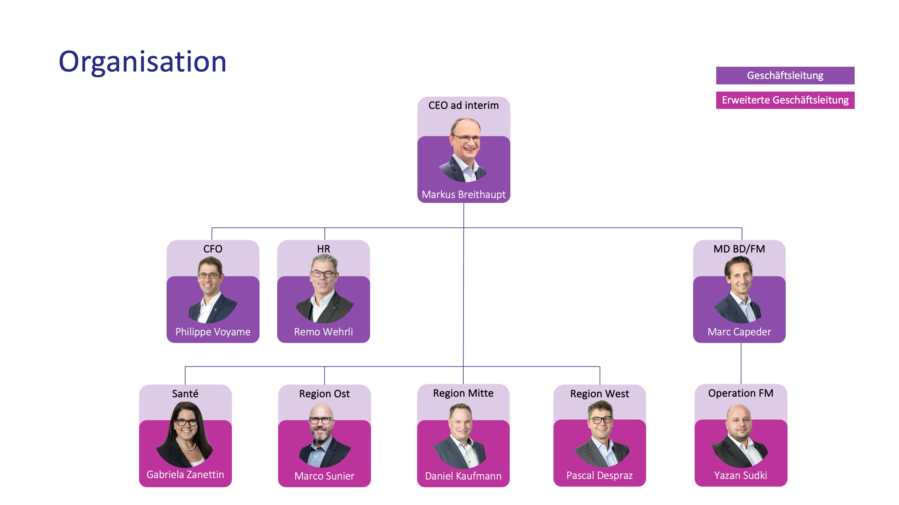 Über Uns Vebego: Erfahren Sie mehr über unsere Unternehmensgeschichte und Werte